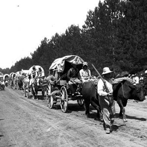 Out In the Sunshinish